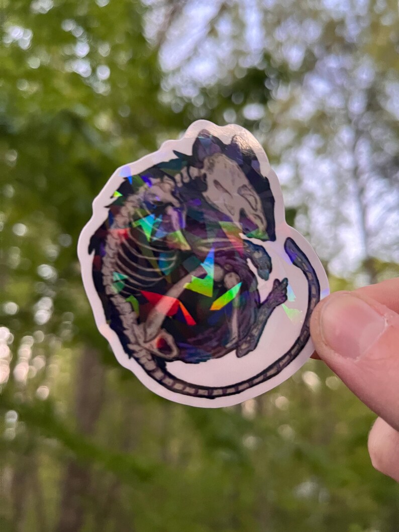 Skeleton Rat Sticker - Purple Black X-ray Animal Waterproof Sticker - Etsy