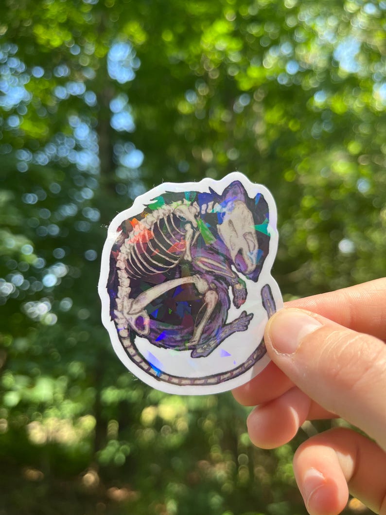 Skeleton Rat Sticker - Purple Black X-ray Animal Waterproof Sticker - Etsy