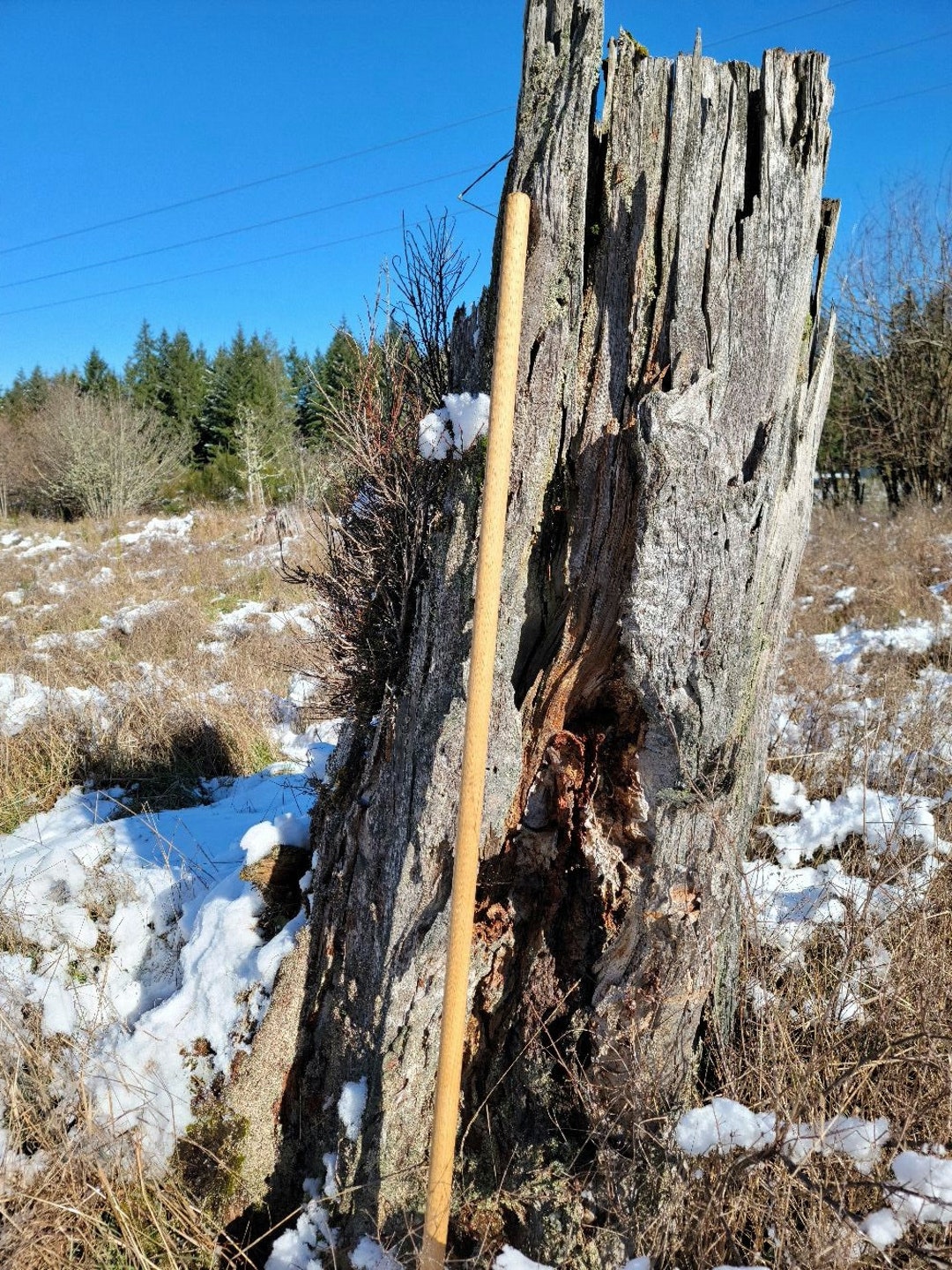 Heavy Hickory Staff 1 1/4 Inch - Etsy