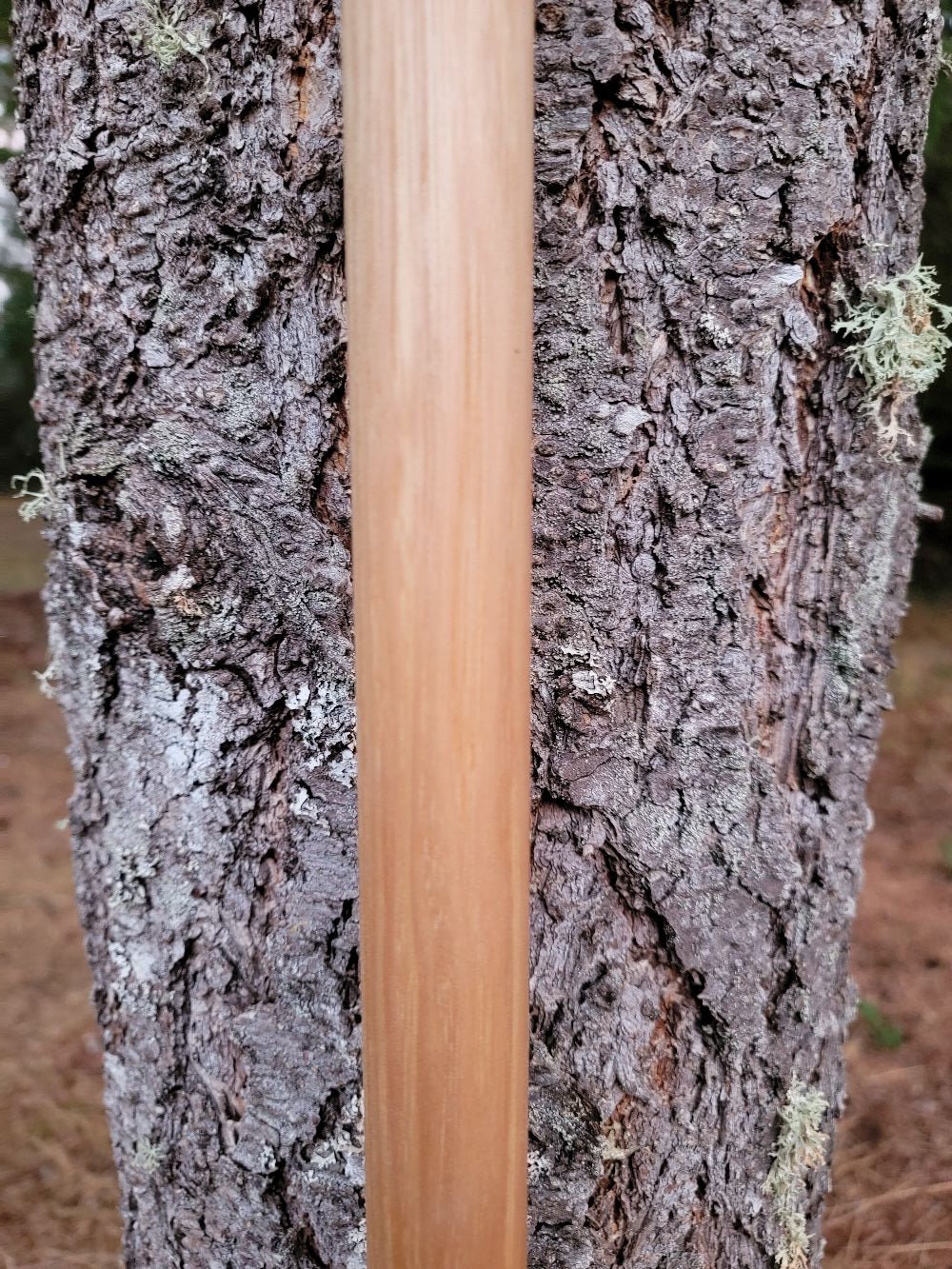 Heavy Hickory Staff 1 1/4 Inch - Etsy