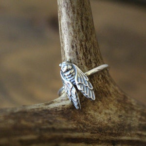 Sterling Silver Cicada Ring, Nature Inspired Jewelry, 925 Cicada, Gift ...