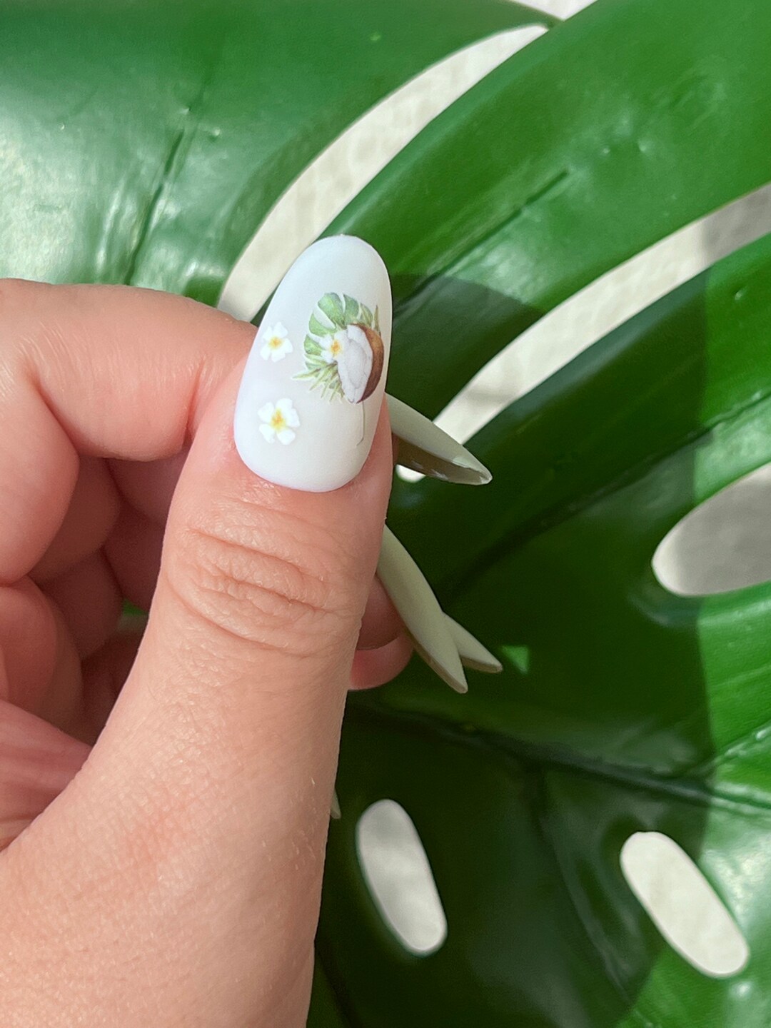 LUXURY PRESS ON Nails| Coconut Dream Press on Nails | Exotic Coconut ...