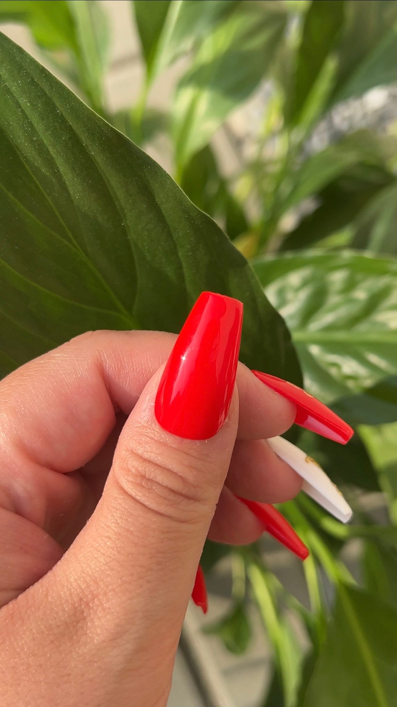 Red Nails Spicy | Hot Nails | Party Nails | Fake Nails | Gold Nails ...