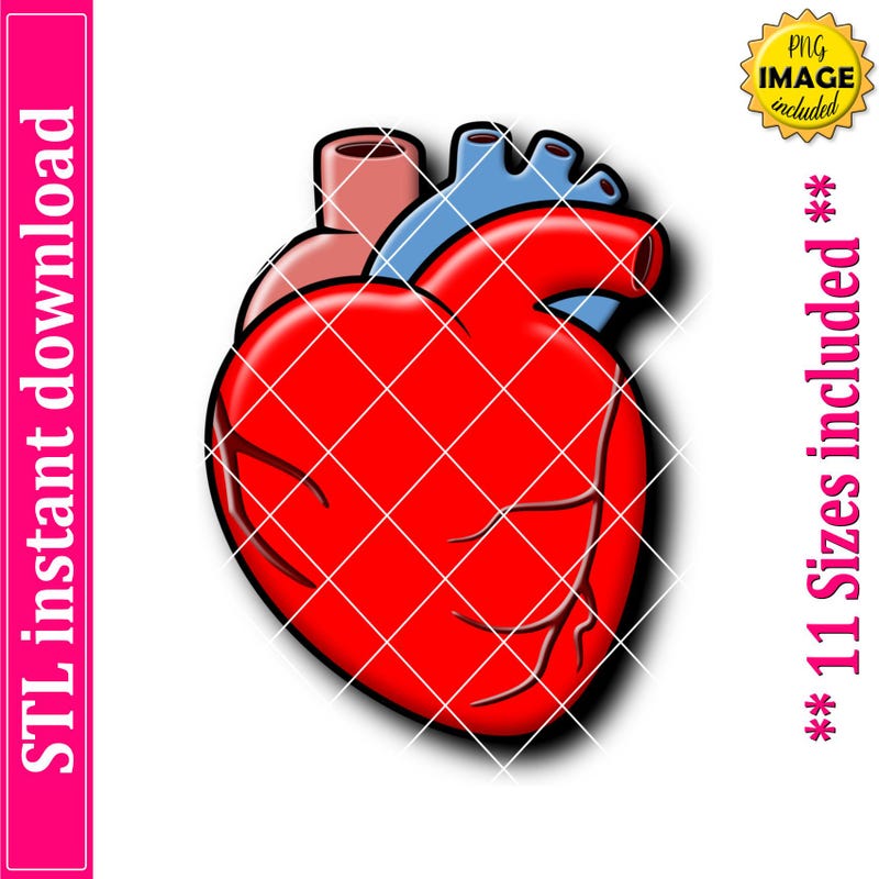 Human Body Stl File - Etsy