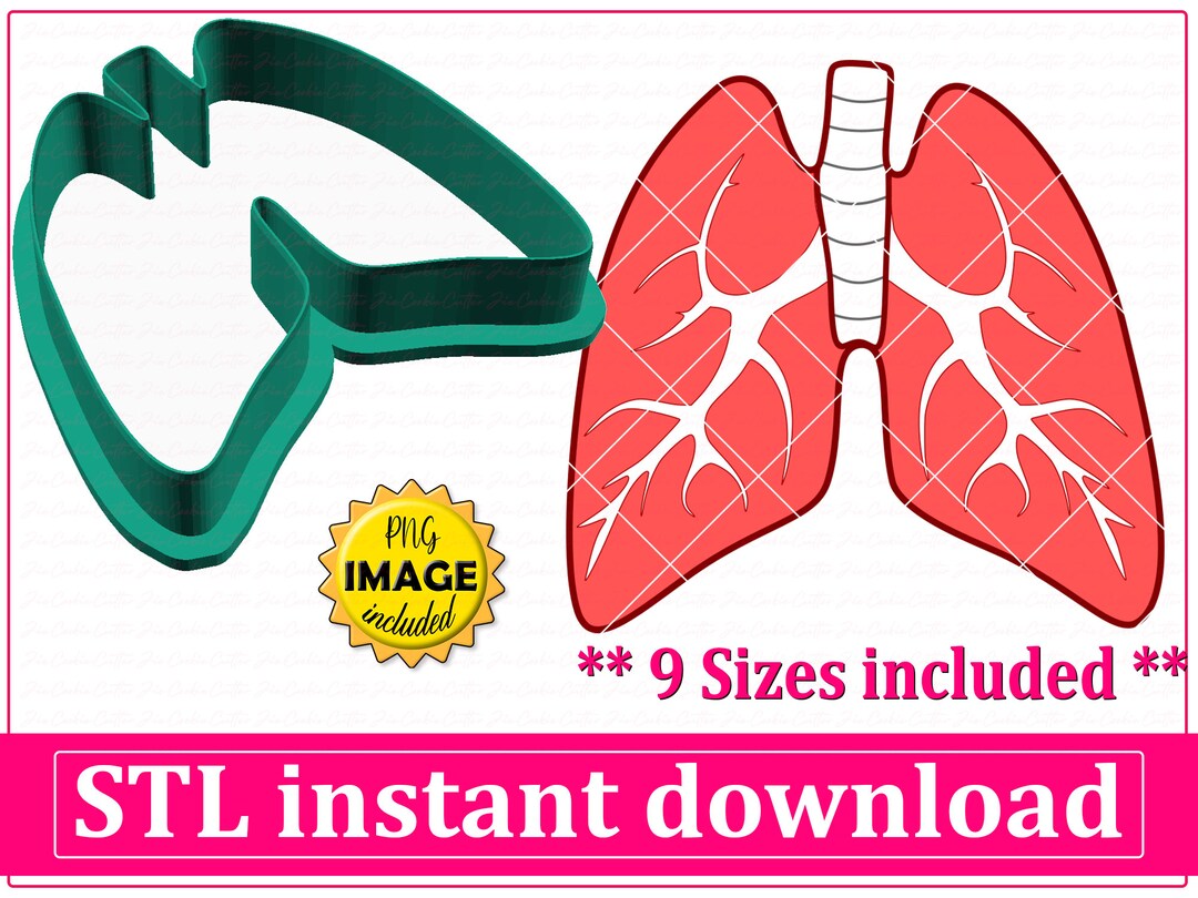 Lung Cookie Cutter STL File Instant Download, STL Cookie Cutter File - Etsy