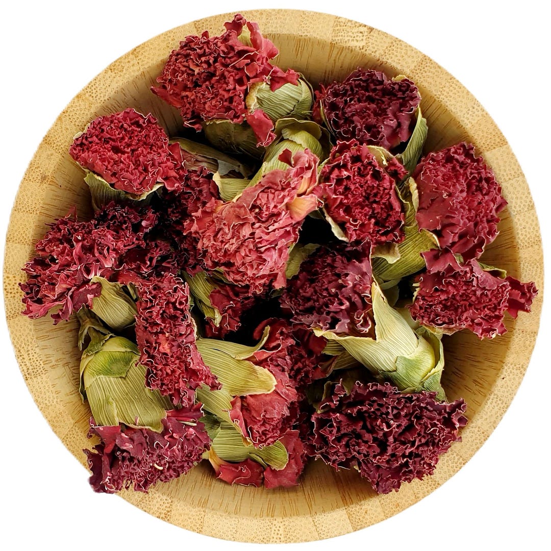 Organic Dried Carnation Flowers 5g - 100g Edible Flowers Tea Gin Tonic ...