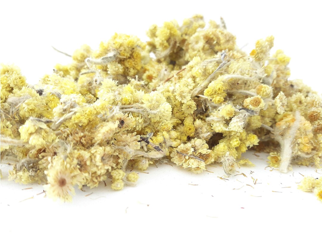 Organic Helichrysum Flowers 5g 100g for Herbal Tea Making - Etsy