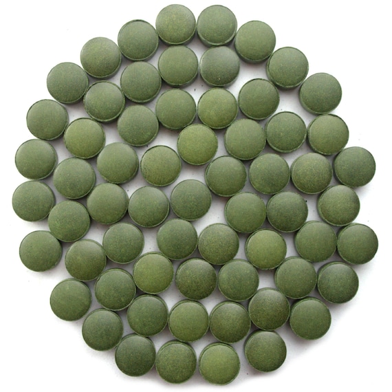Chlorella Pyrenoidosa