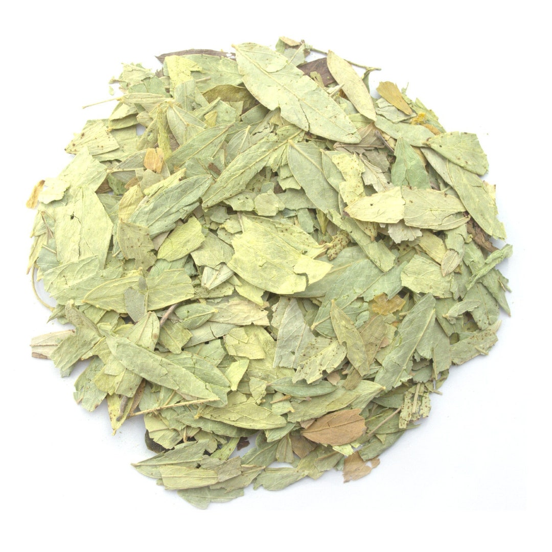 Organic Senna Leaf Tea 500g 1kg Herbal Tea Folium Sennae Senes TOP ...