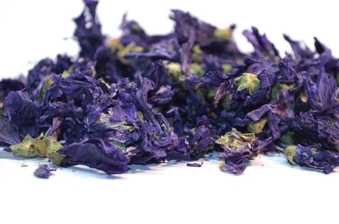 Dried Blue Mallow Flowers - Edible Botanicals 5g-100g - Etsy