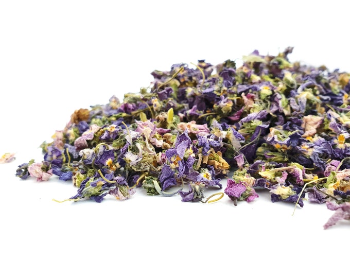 Viola Adunca Western Dog Violet Seeds - Etsy