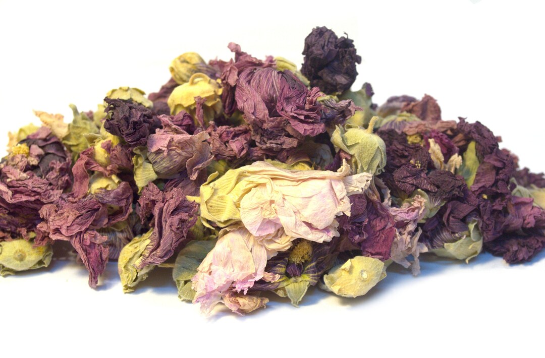 Organic Violet Mallow Flowers 5g 100g Herbal Tea Cooking Gin Tonic ...