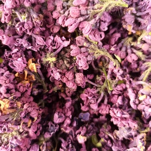 Organic Dried Lilac Flowers - Syringa Vulgaris - Hand Picked - LIMITED ...
