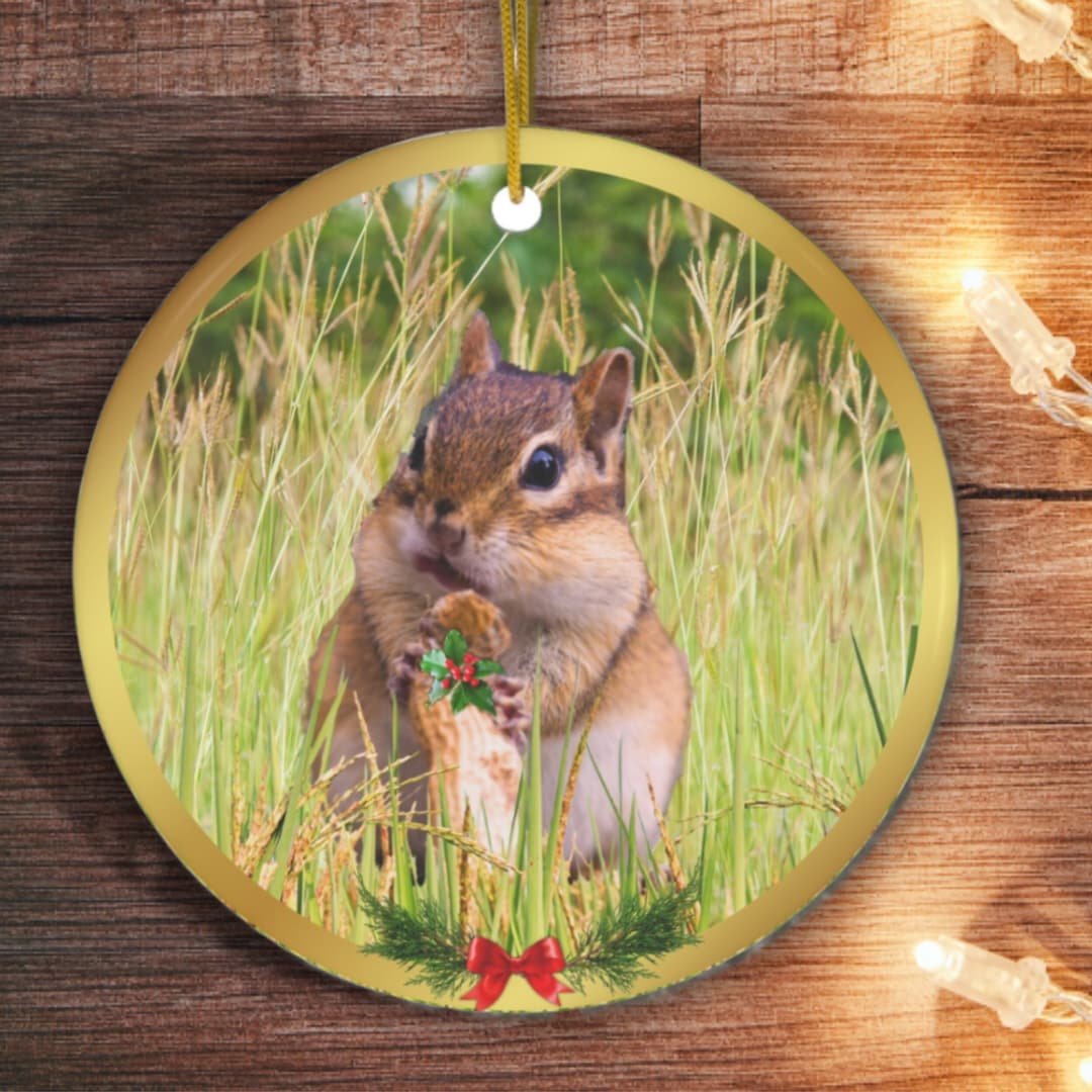 Chipmunks Ornament, Chipmunks Christmas Ornament, Peanut Ornament, Nut ...
