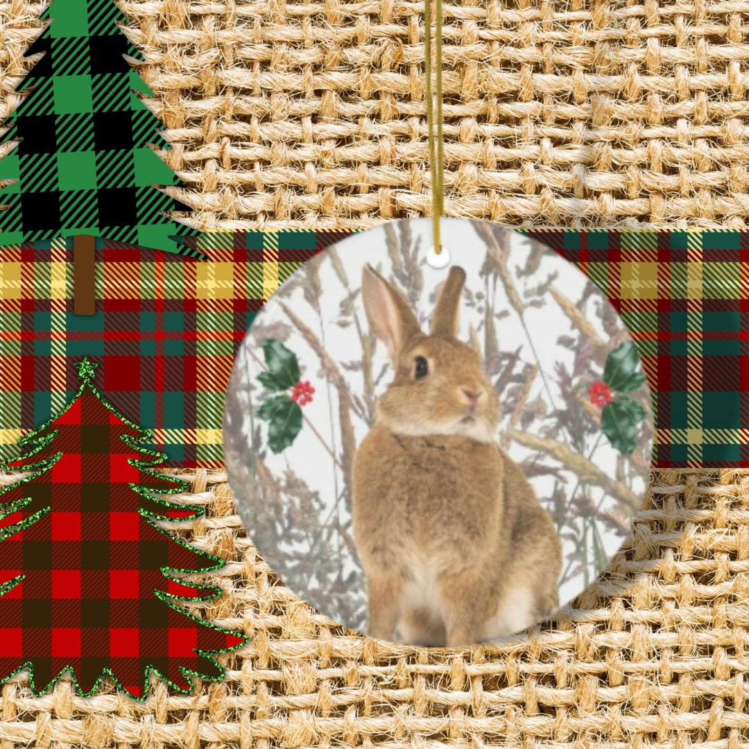 Bunny Ornament/christmas Bunny Rabbit/bunny Rabbit Christmas/pet Rabbit ...
