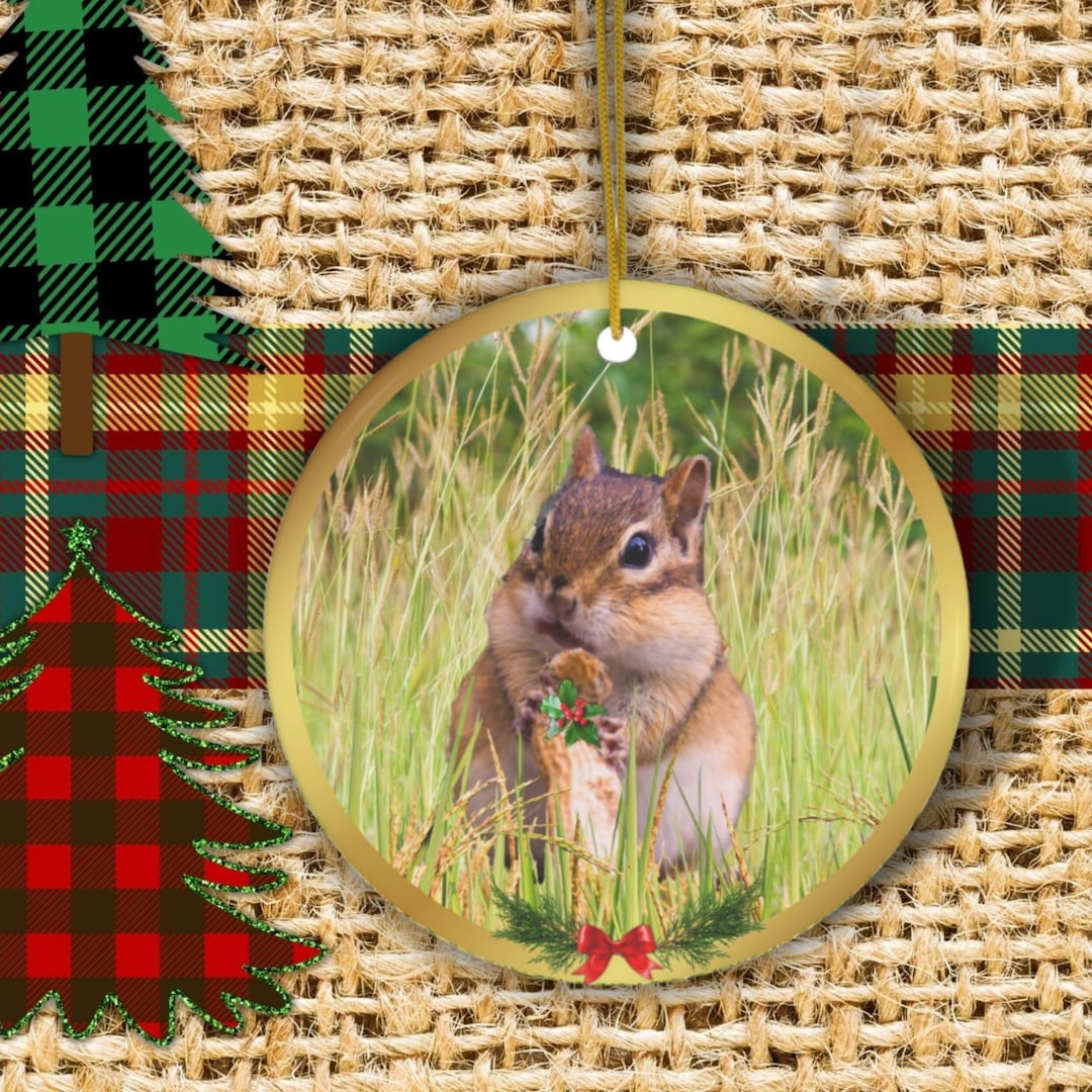 Chipmunks Ornament, Chipmunks Christmas Ornament, Peanut Ornament, Nut ...