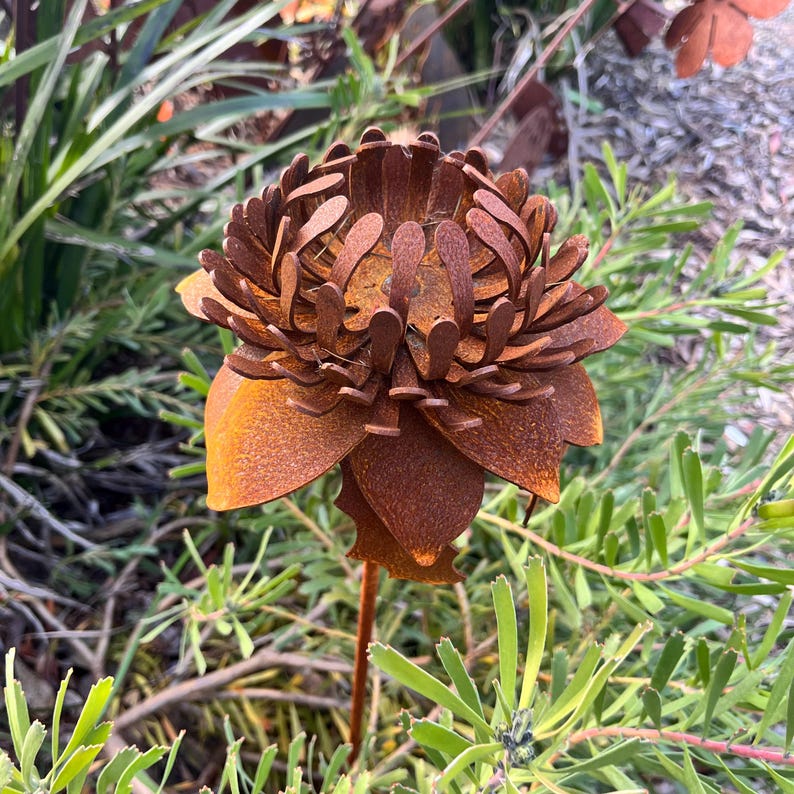 Rusty Waratah Flower Spike - Native Flowers Australia Handmade and ...