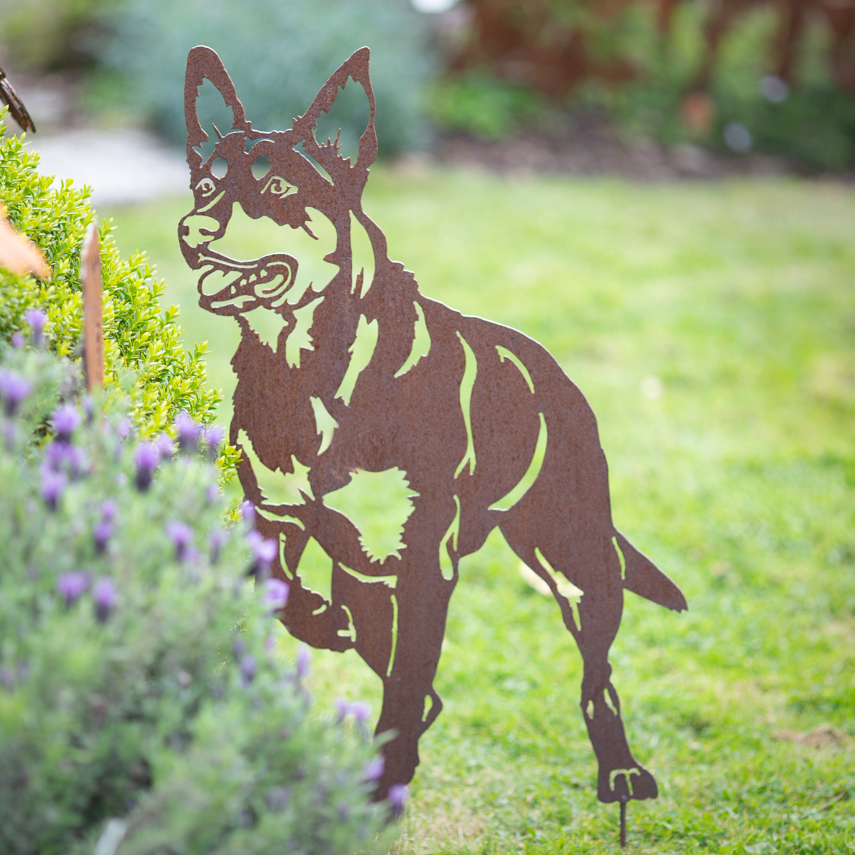 Corten Steel Kelpie | Rusty Garden Stake | Pet Memorial | Rusty Dog ...