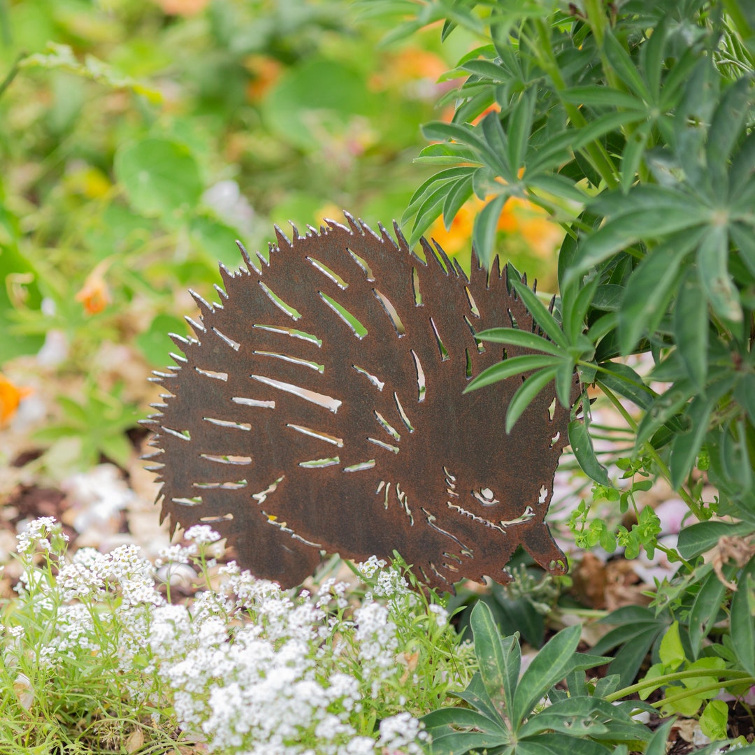 Rusty Echidna, Aussie Animals -garden Metal Art- Tasmanian Animals ...