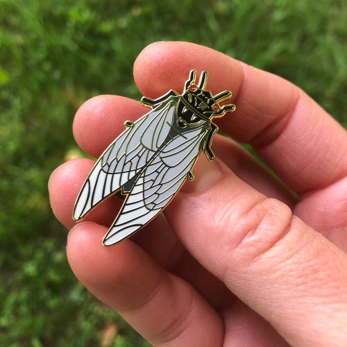 Cicada Enamel Pin Bug Pin Insect Pin Beetle Enamel Pin - Etsy