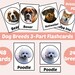 Dog Breed Animal Flashcard for Toddler Homeschool Printable Activity ...