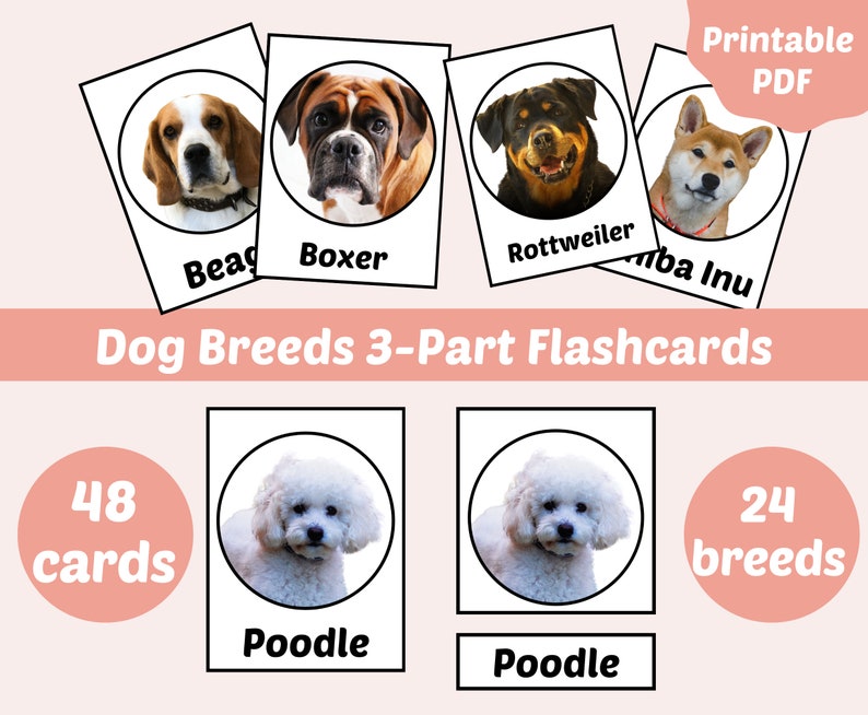 Dog Breed Animal Flashcard for Toddler Homeschool Printable Activity ...