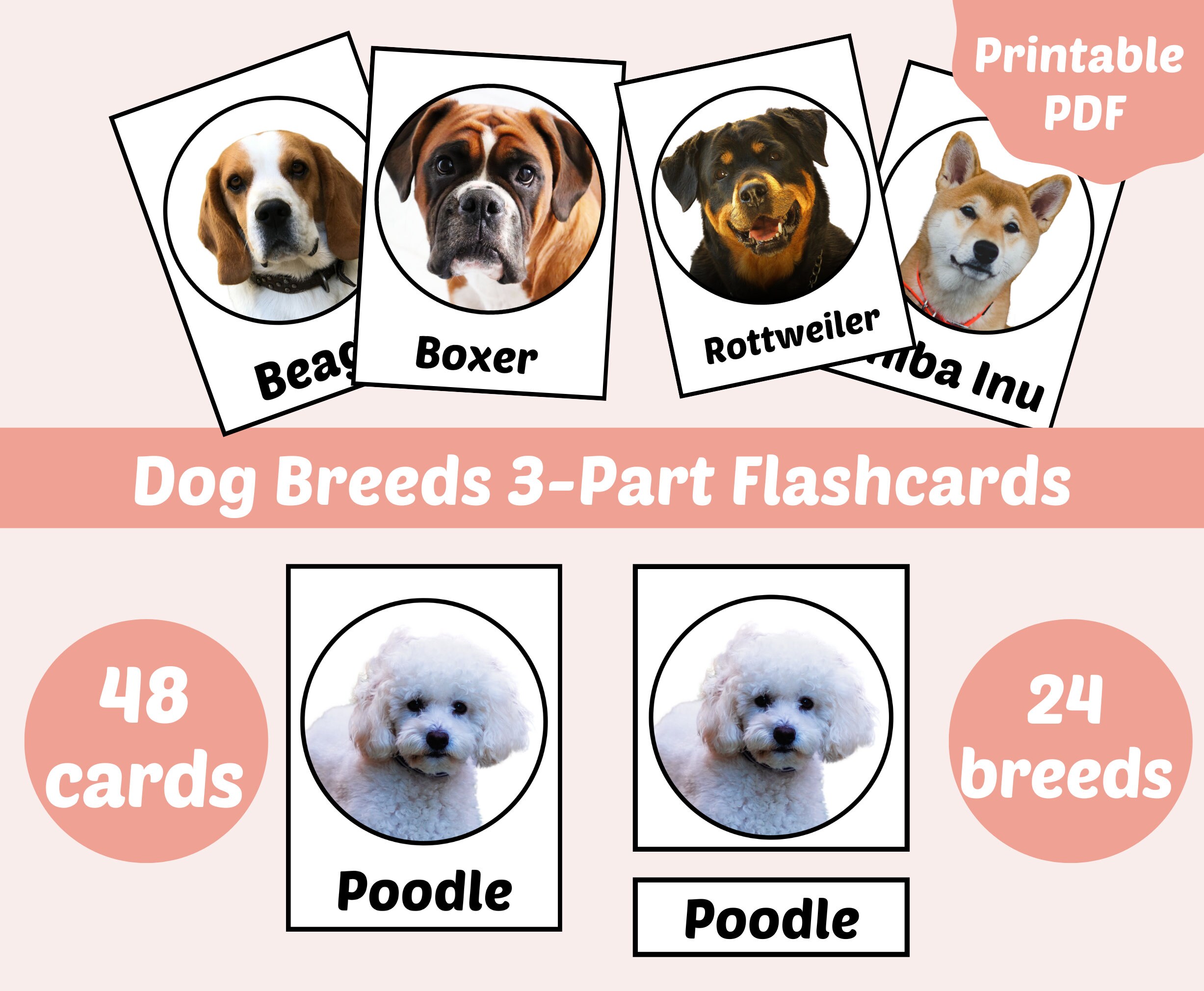 Dog Breed Animal Flashcard for Toddler Homeschool Printable Activity ...