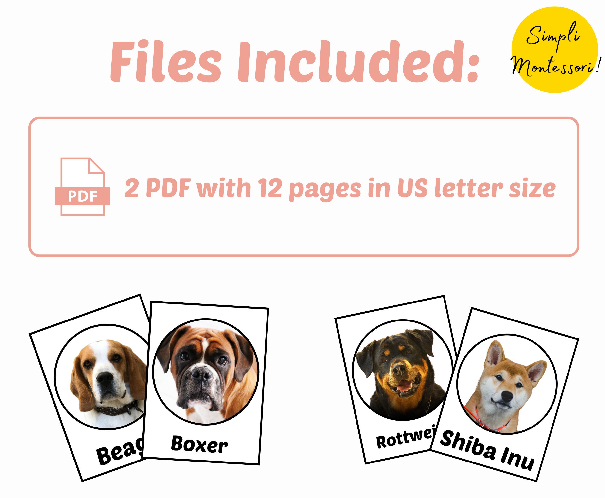Dog Breed Animal Flashcard for Toddler Homeschool Printable Activity ...