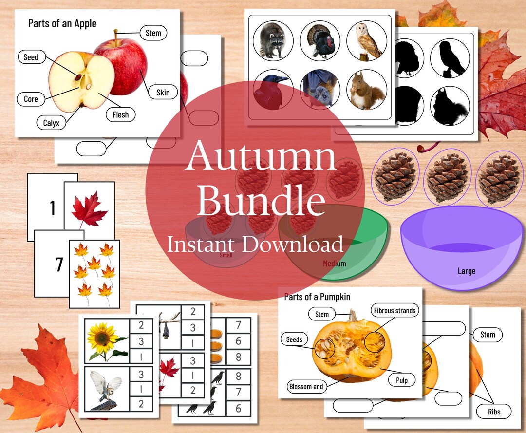 Fall Activity Preschool Printable Bundle: Montessori Matching & Sorting ...