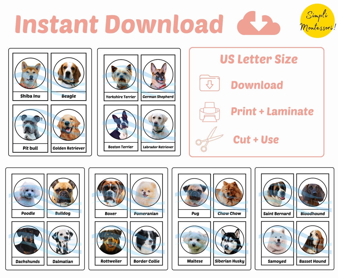 Dog Breed Animal Flashcard for Toddler Homeschool Printable Activity ...
