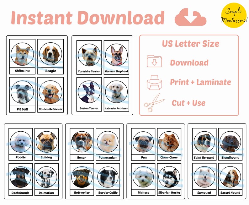 Dog Breed Animal Flashcard for Toddler Homeschool Printable Activity ...