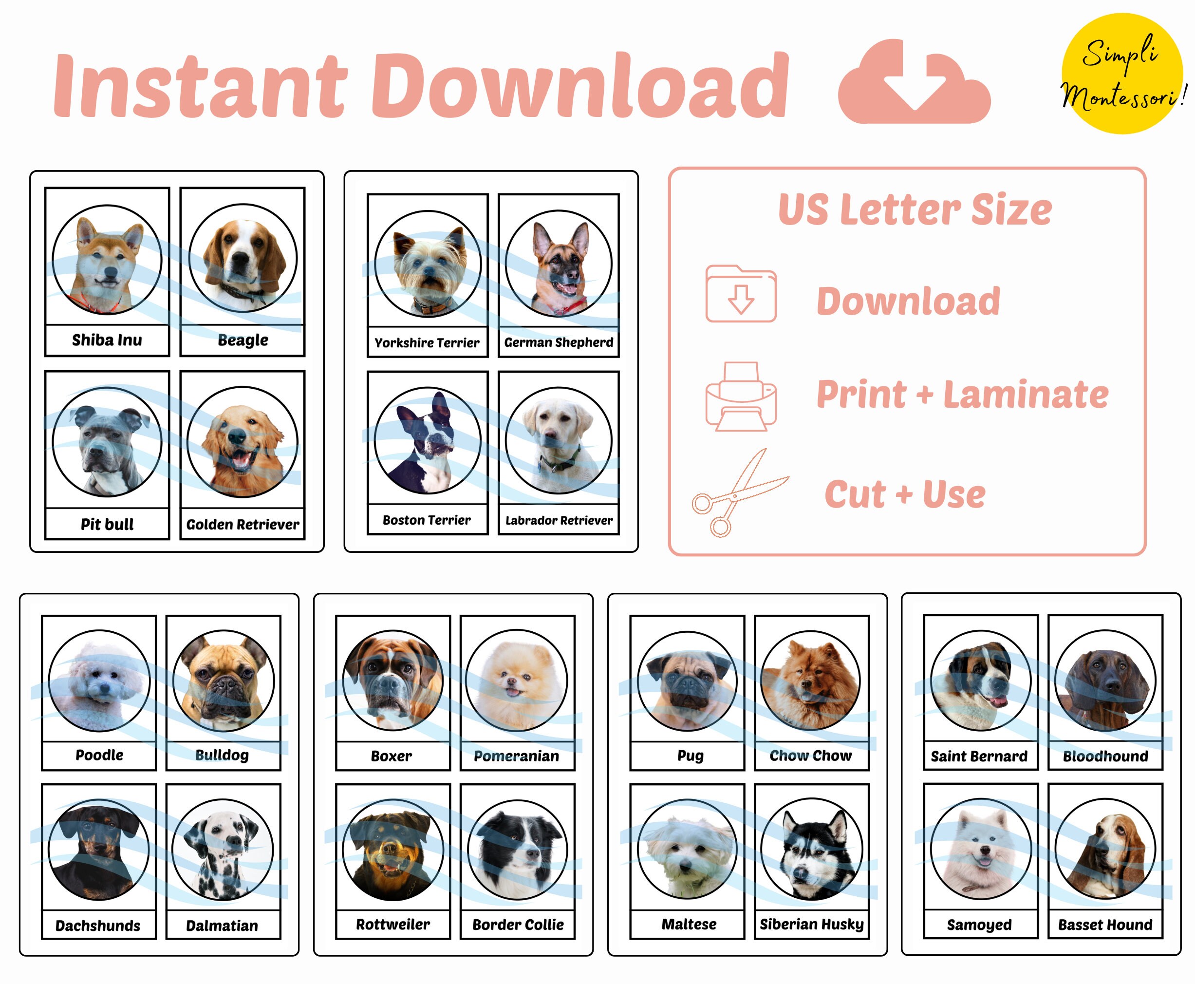 Dog Breed Animal Flashcard for Toddler Homeschool Printable Activity ...