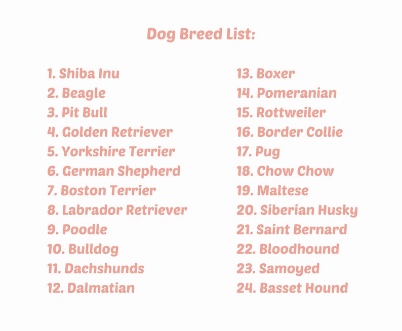 Dog Breed Animal Flashcard for Toddler Homeschool Printable Activity ...