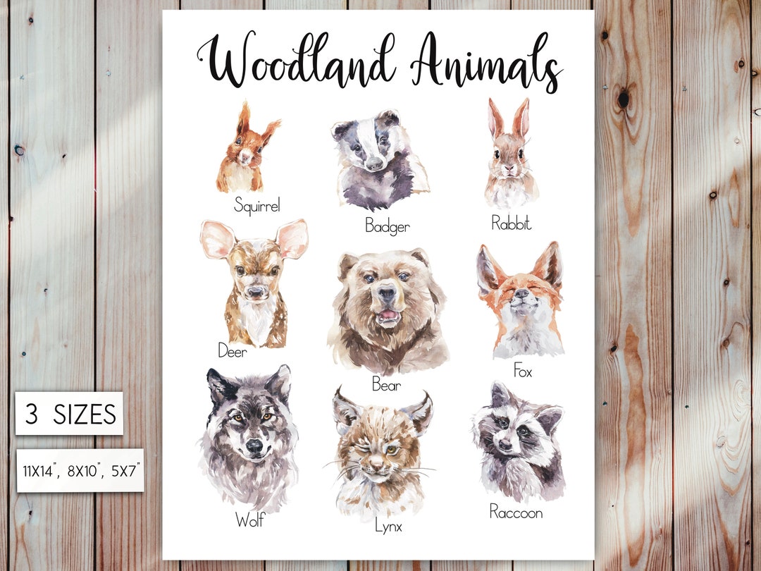 Woodland Animals Poster, Printable Instant Download - Etsy