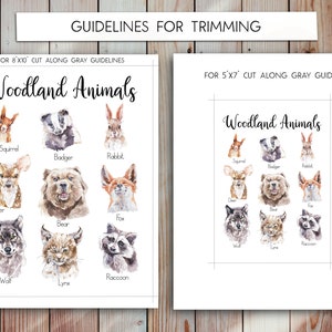 Woodland Animals Poster, Printable Instant Download - Etsy