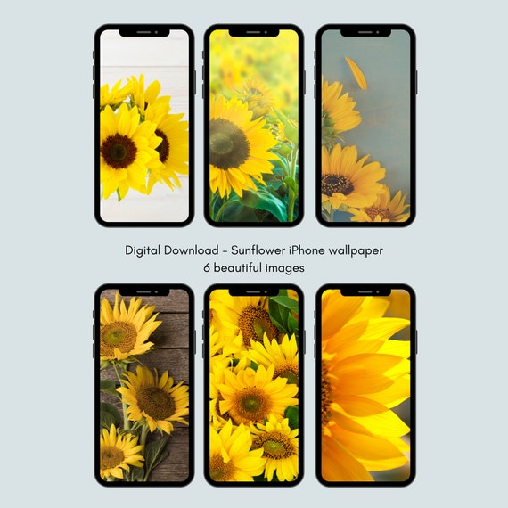 Sunflower Iphone Wallpaper Digital Designs 6 Different - Etsy