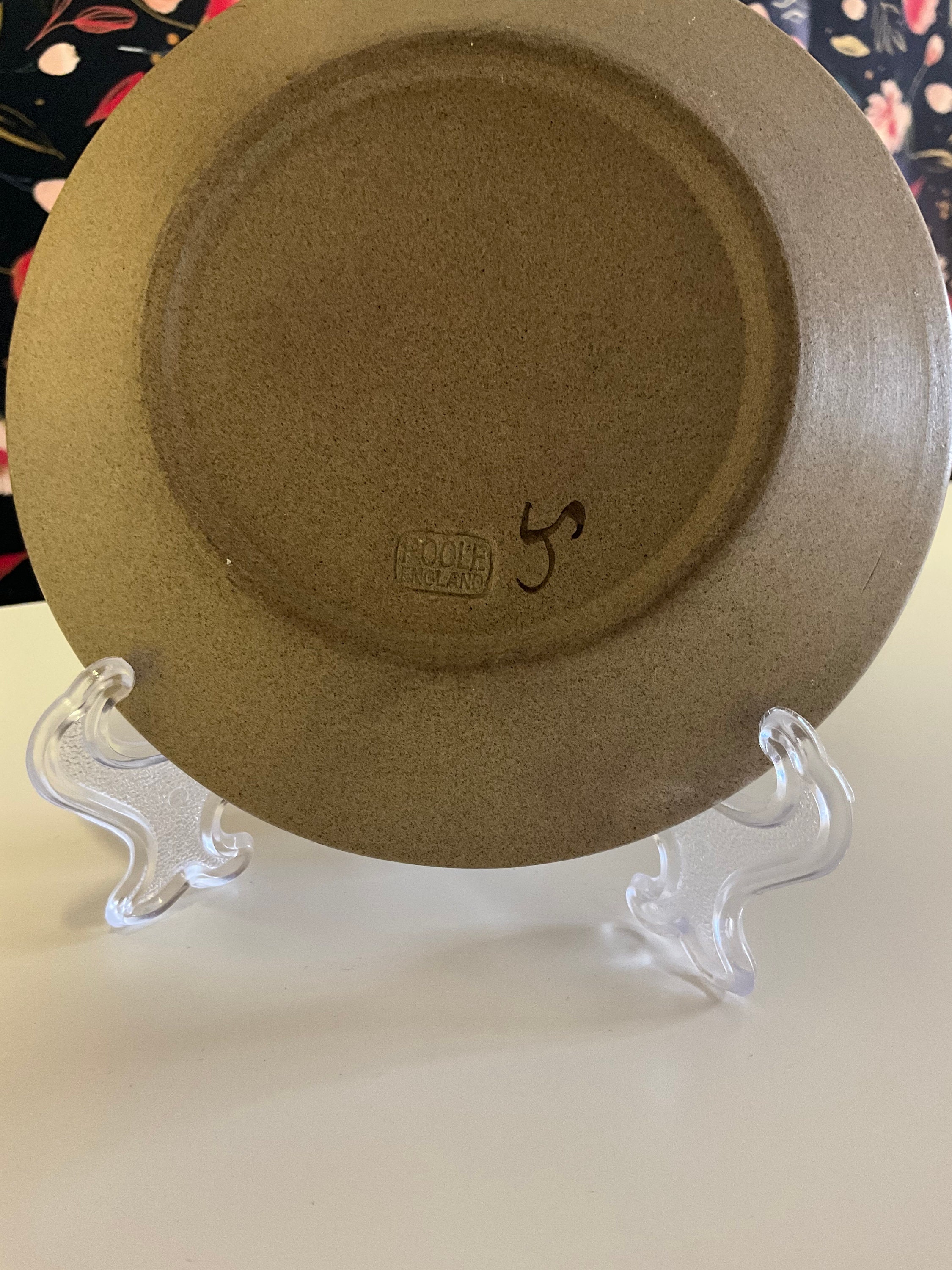 Cute Stoneware Poole Pottery Plate Squirrel and Snail Cottagecore 4T915 ...