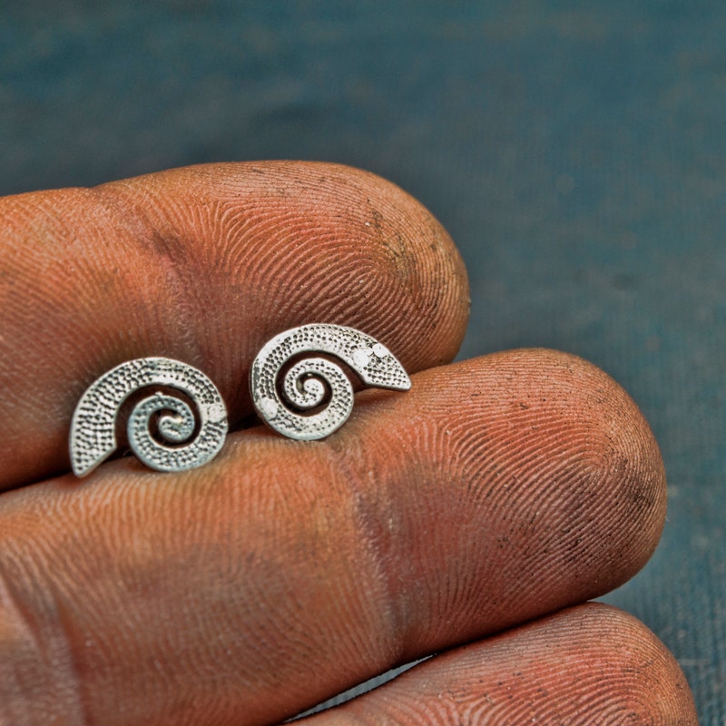 Flat Spiral Shells - Etsy