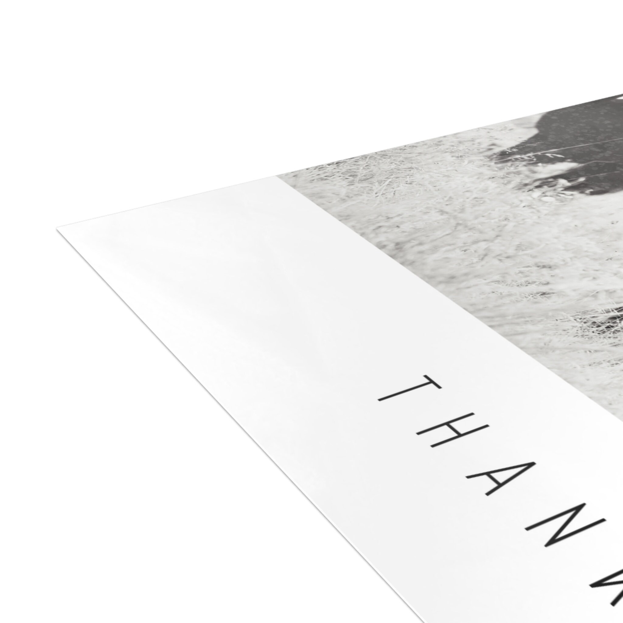 Western Thank You Cards angus Cattle - Etsy