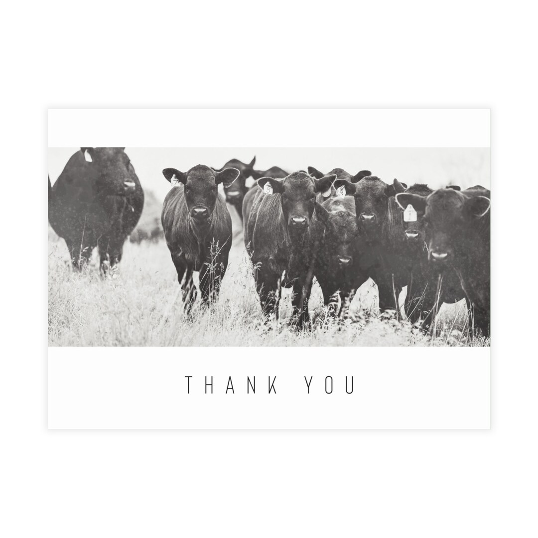 Western Thank You Cards angus Cattle - Etsy