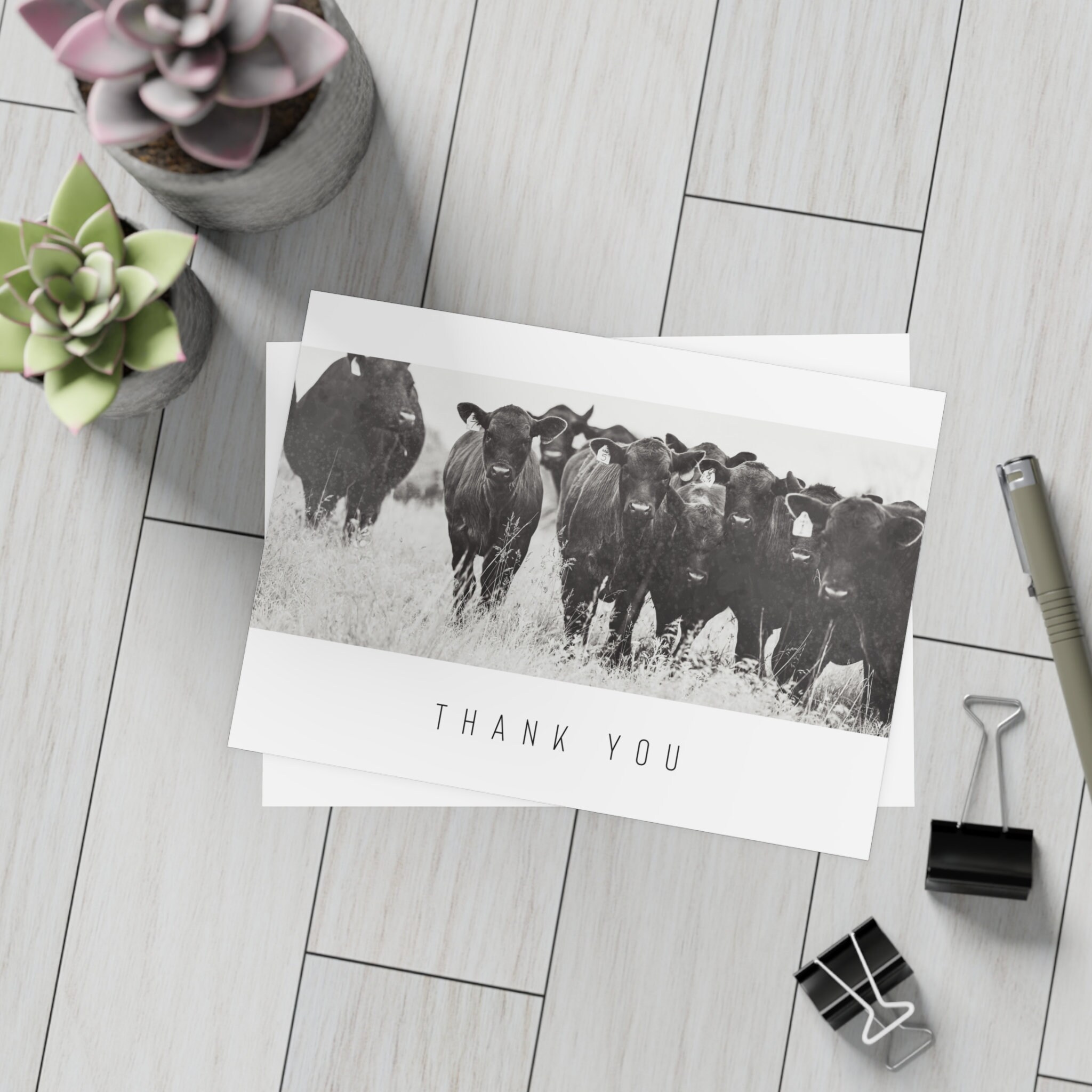Western Thank You Cards angus Cattle - Etsy