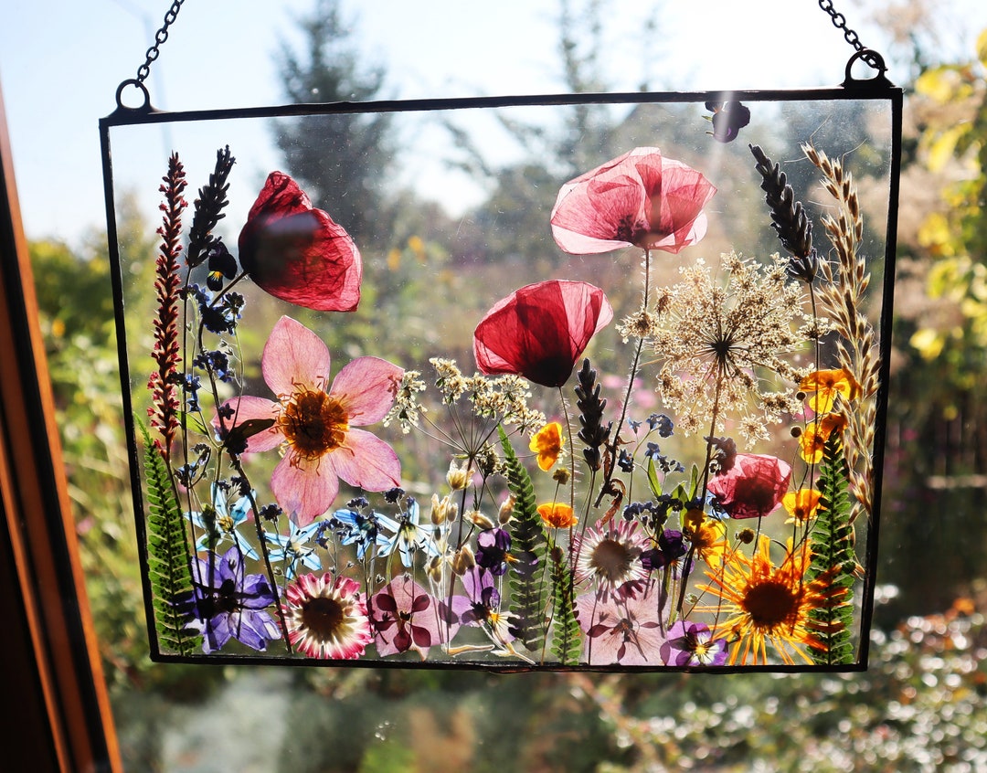 Stained Glass Frame, Pressed Flower Frame, Pressed Plant Frame ...