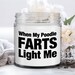 When My Poodle Farts Light Me Candle New Pet Parent Gift Funny Pet Gift ...