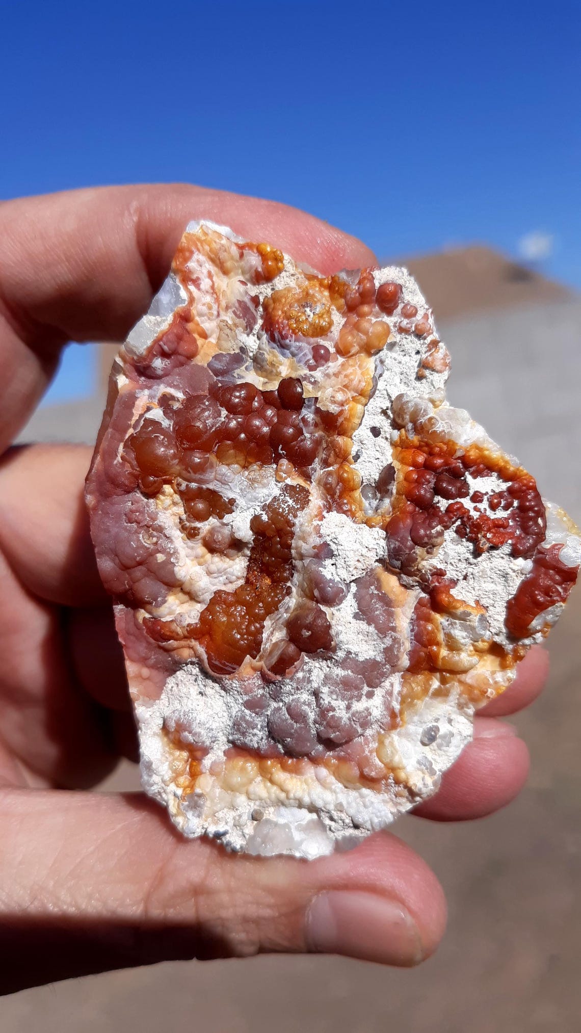 Three Arizona Fire Agate Chalcedony Specimens - Etsy