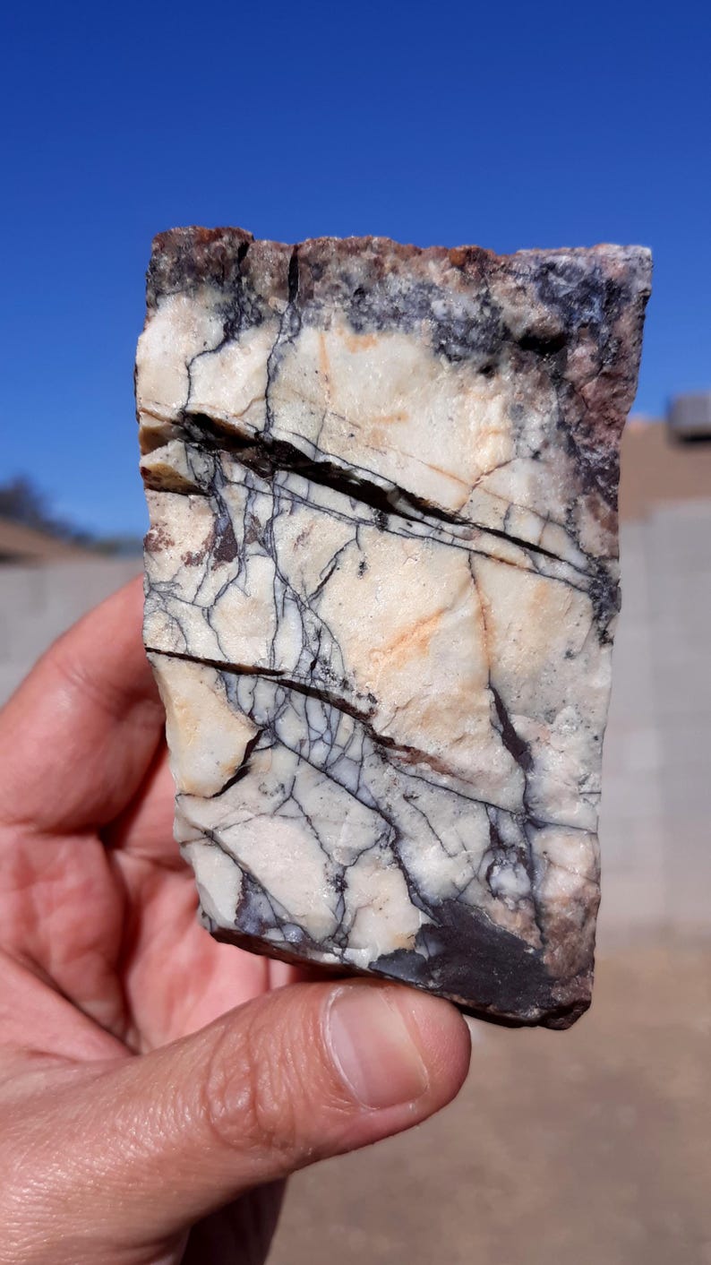 Arizona Lightning Strike Picture Jasper Faced and Polished - Etsy