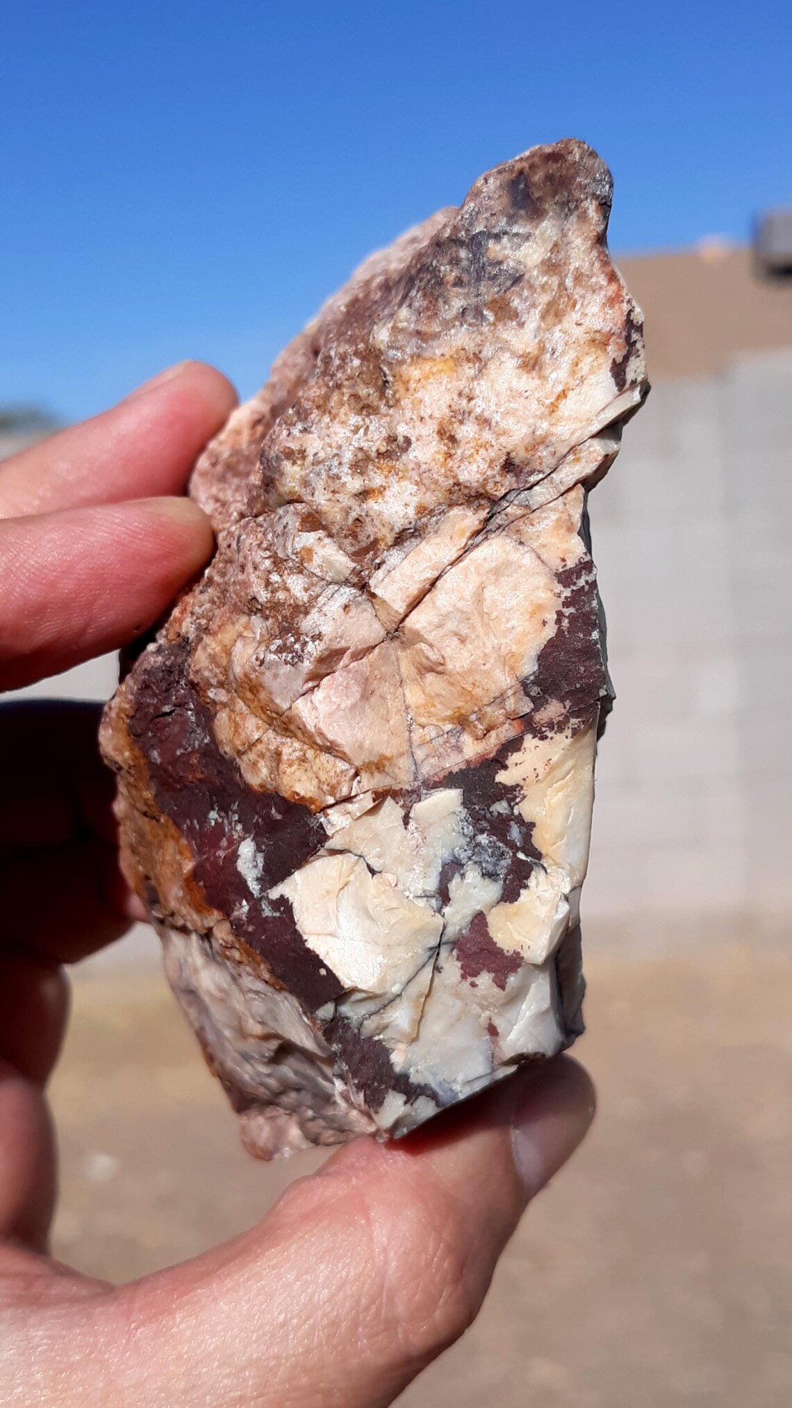 Arizona Lightning Strike Picture Jasper Faced and Polished - Etsy