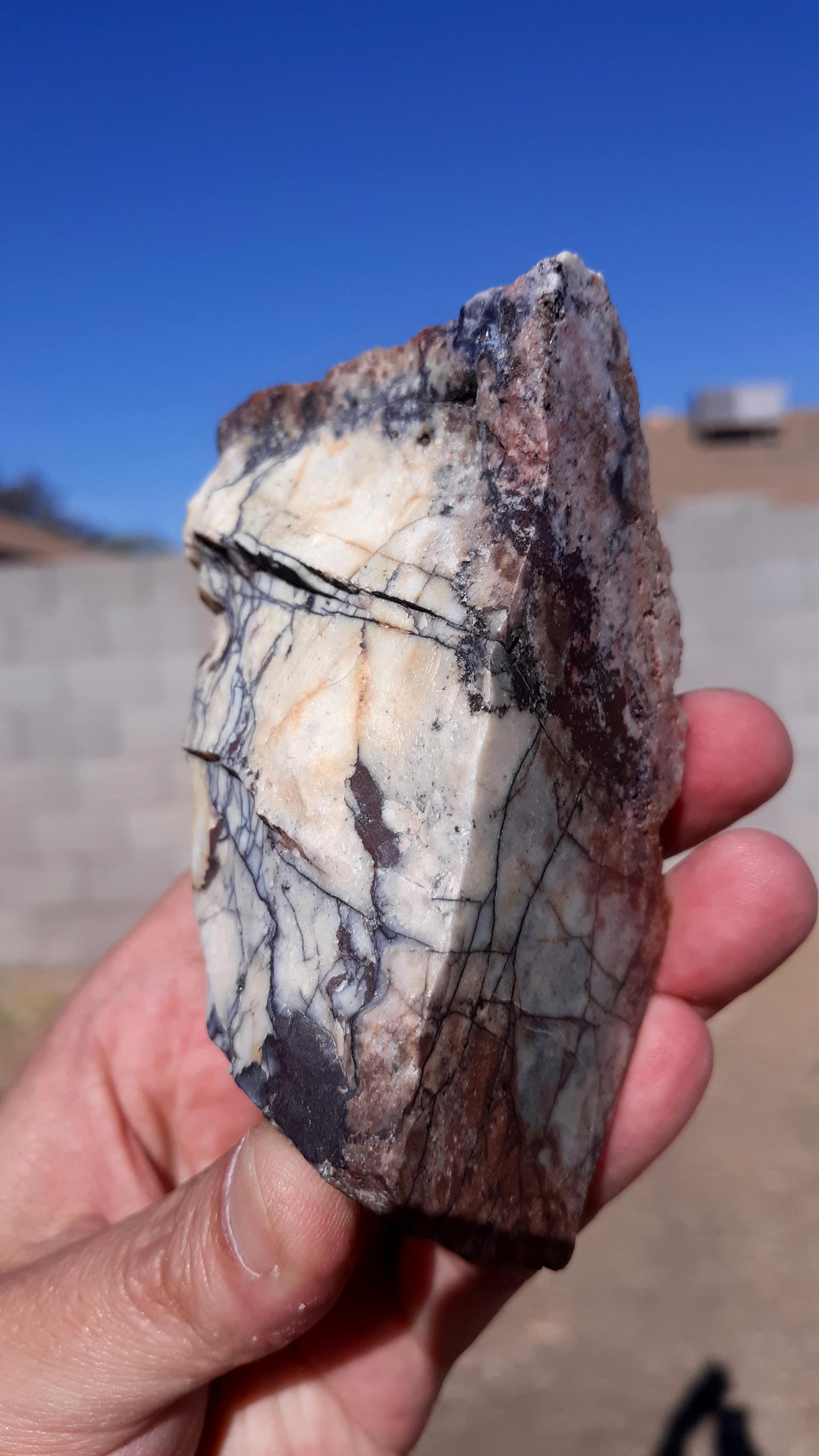 Arizona Lightning Strike Picture Jasper Faced and Polished - Etsy