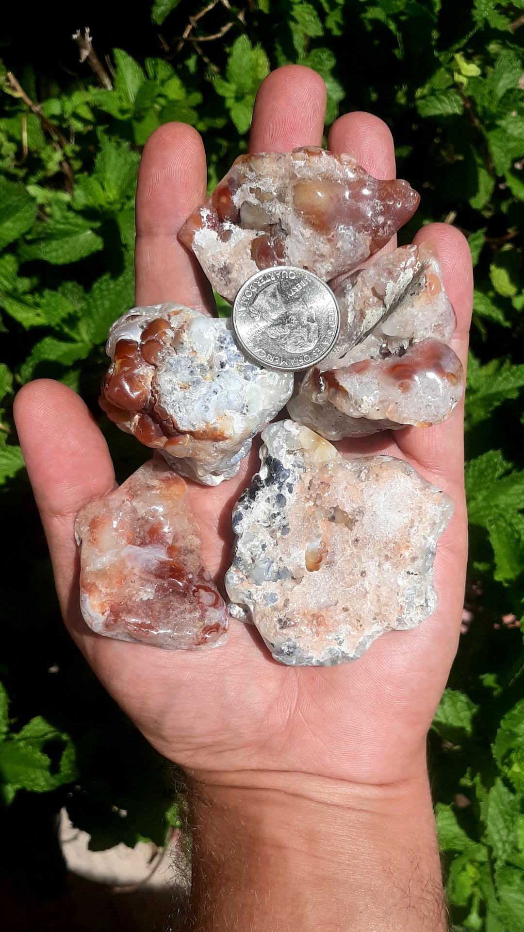 5 Med/large Arizona Fire Agate Chalcedony Specimens Tumble Vibed to a ...