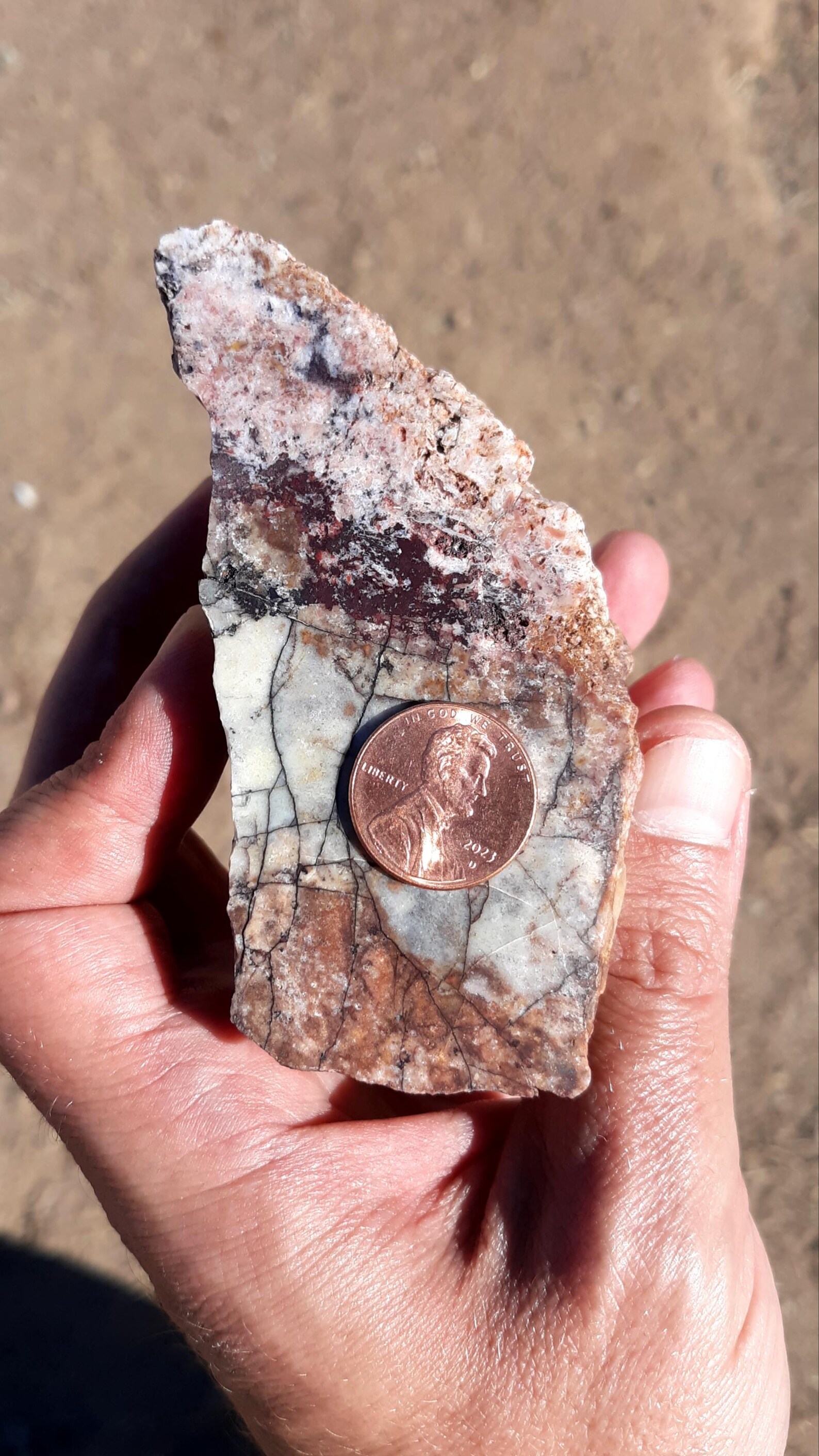 Arizona Lightning Strike Picture Jasper Faced and Polished - Etsy