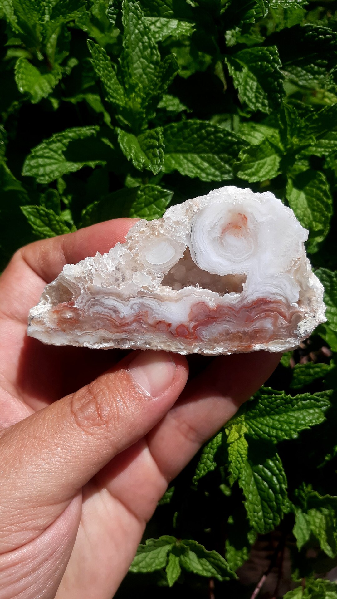 Beautiful Arizona Fire Agate Chalcedony/fancy Lace Vug Specimen Faced ...